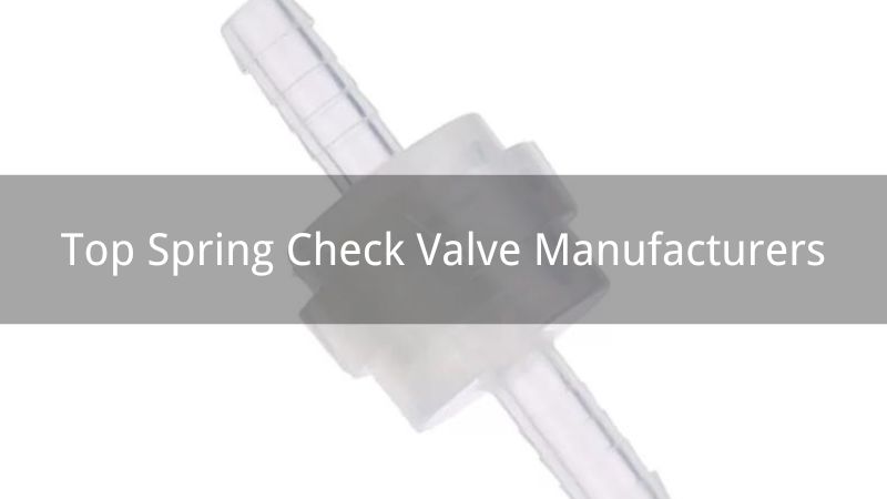 Top 5 Spring Check Valve Manufacturers in 2024 - Jingteng