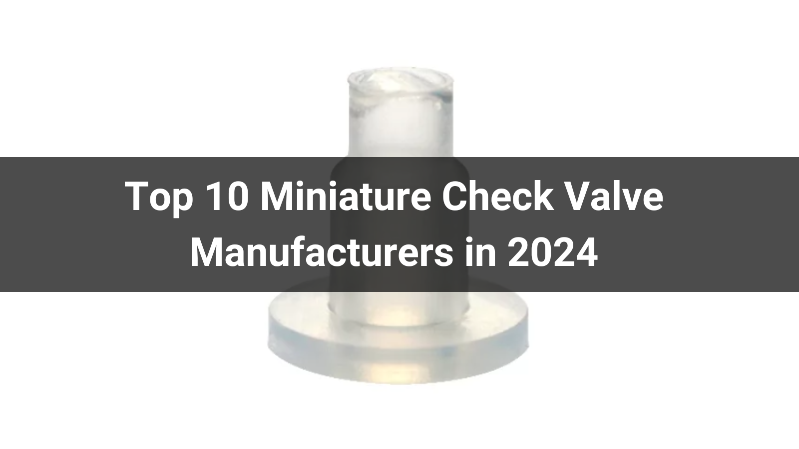 Top 10 Miniature Check Valve Manufacturers in 2025