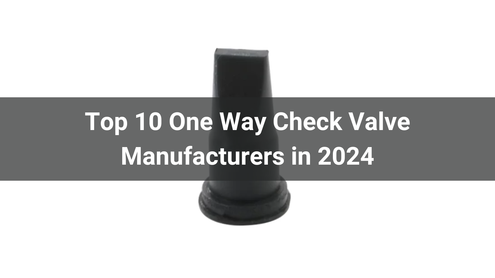 Top 10 One-Way Check Valve Manufacturers in 2024—Jingteng