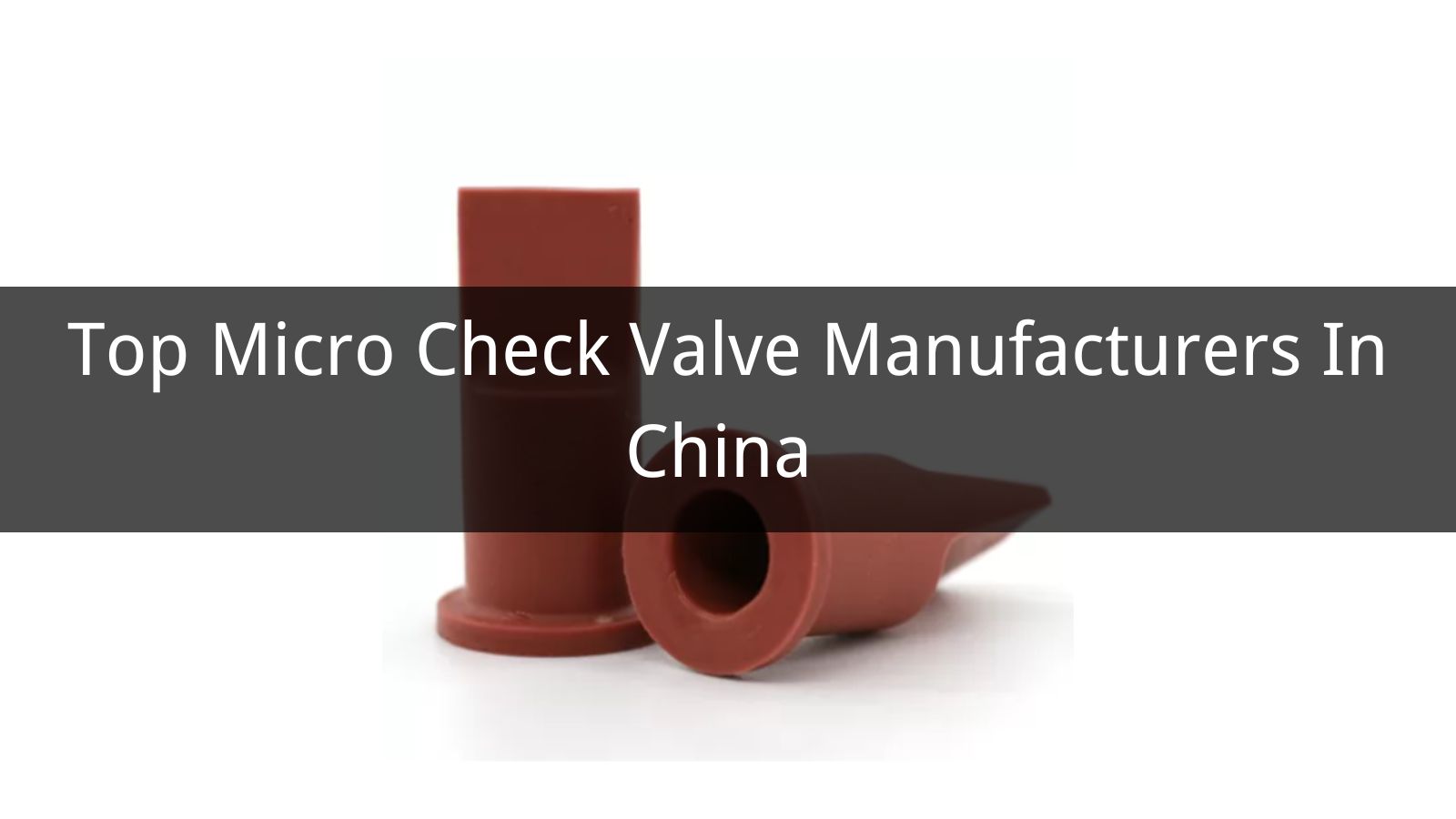Top 5 Micro Check Valve Manufacturers in China 2024—Jingteng