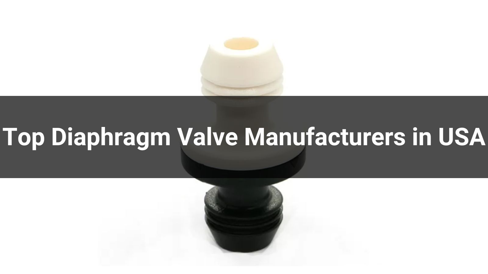 Top Diaphragm Valve Manufacturers in USA - Valve Kingdom