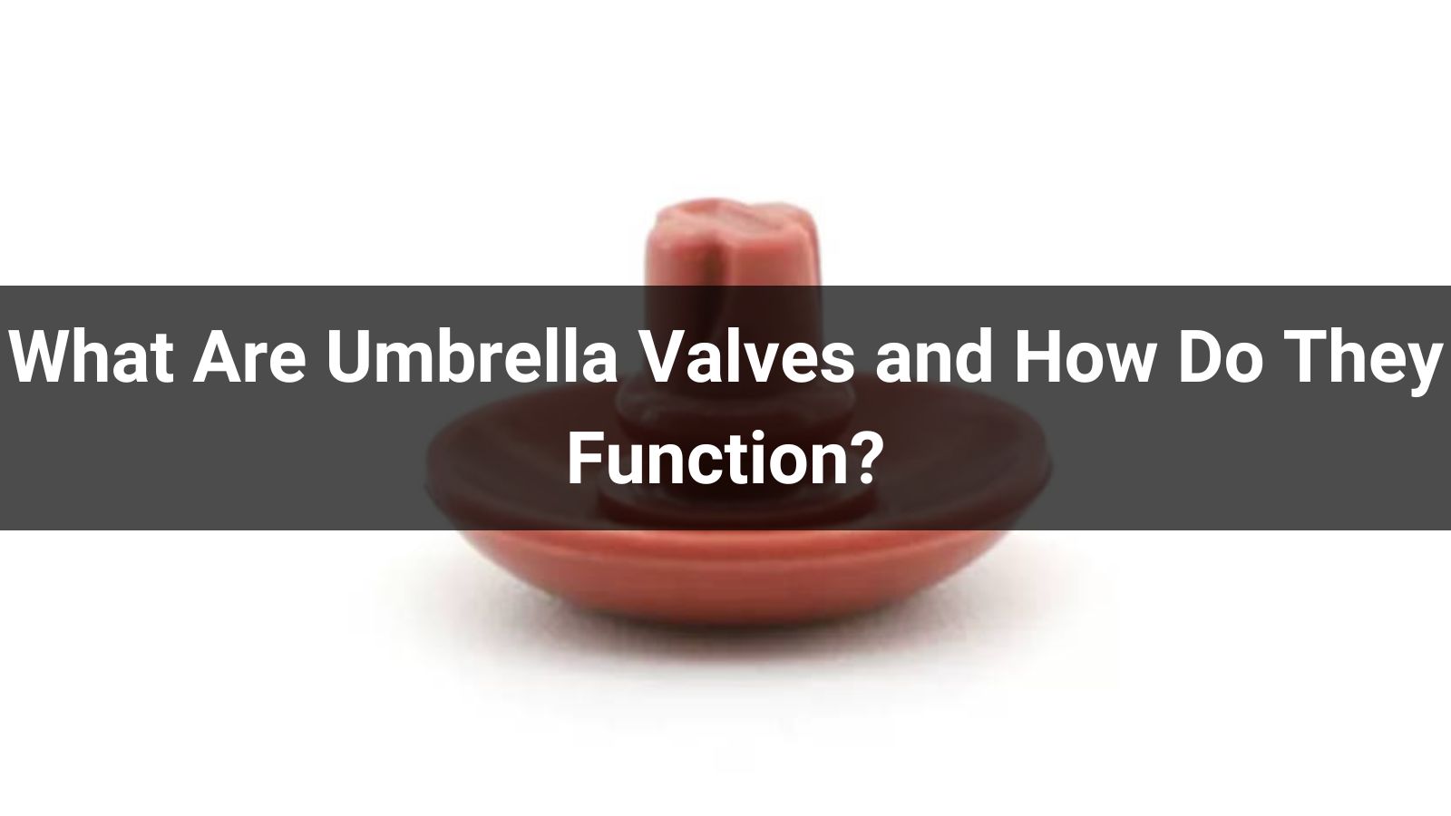 What Are Umbrella Valves and How Do They Function? | Valve Kingdom