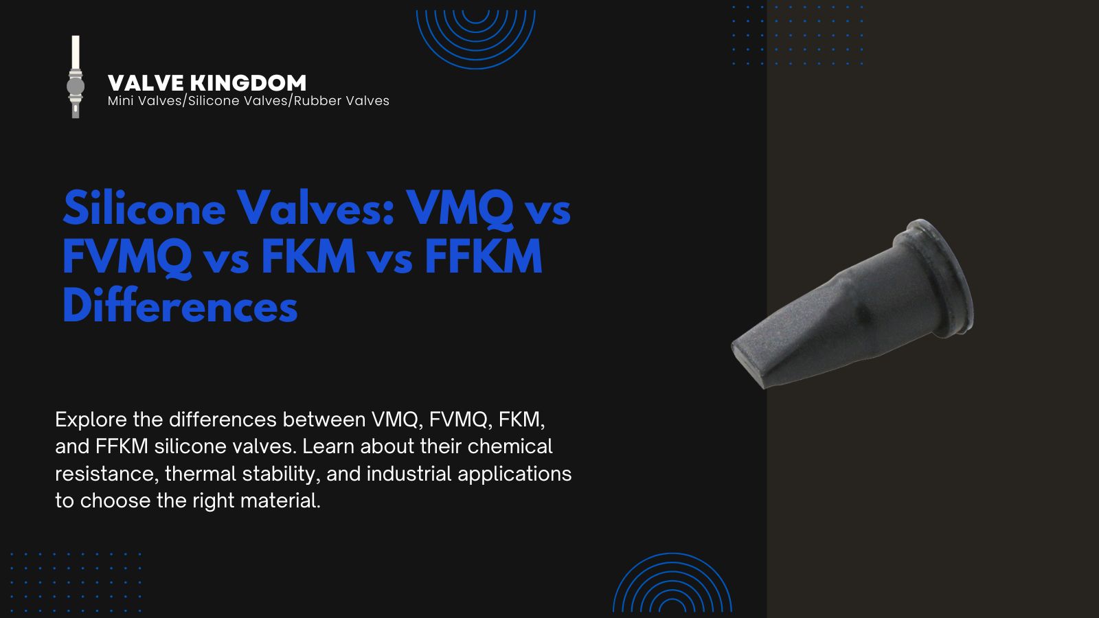 Silicone Valves: VMQ vs FVMQ vs FKM vs FFKM Differences
