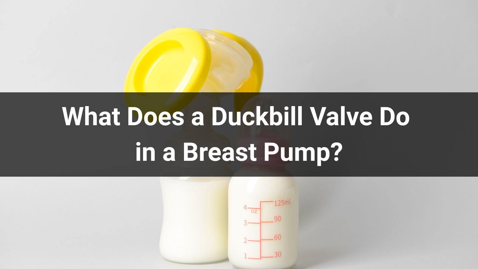 What Does a Duckbill Valve Do in a Breast Pump?