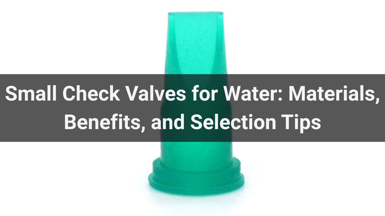 Small Check Valves for Water: Materials, Benefits, and Selection Tips