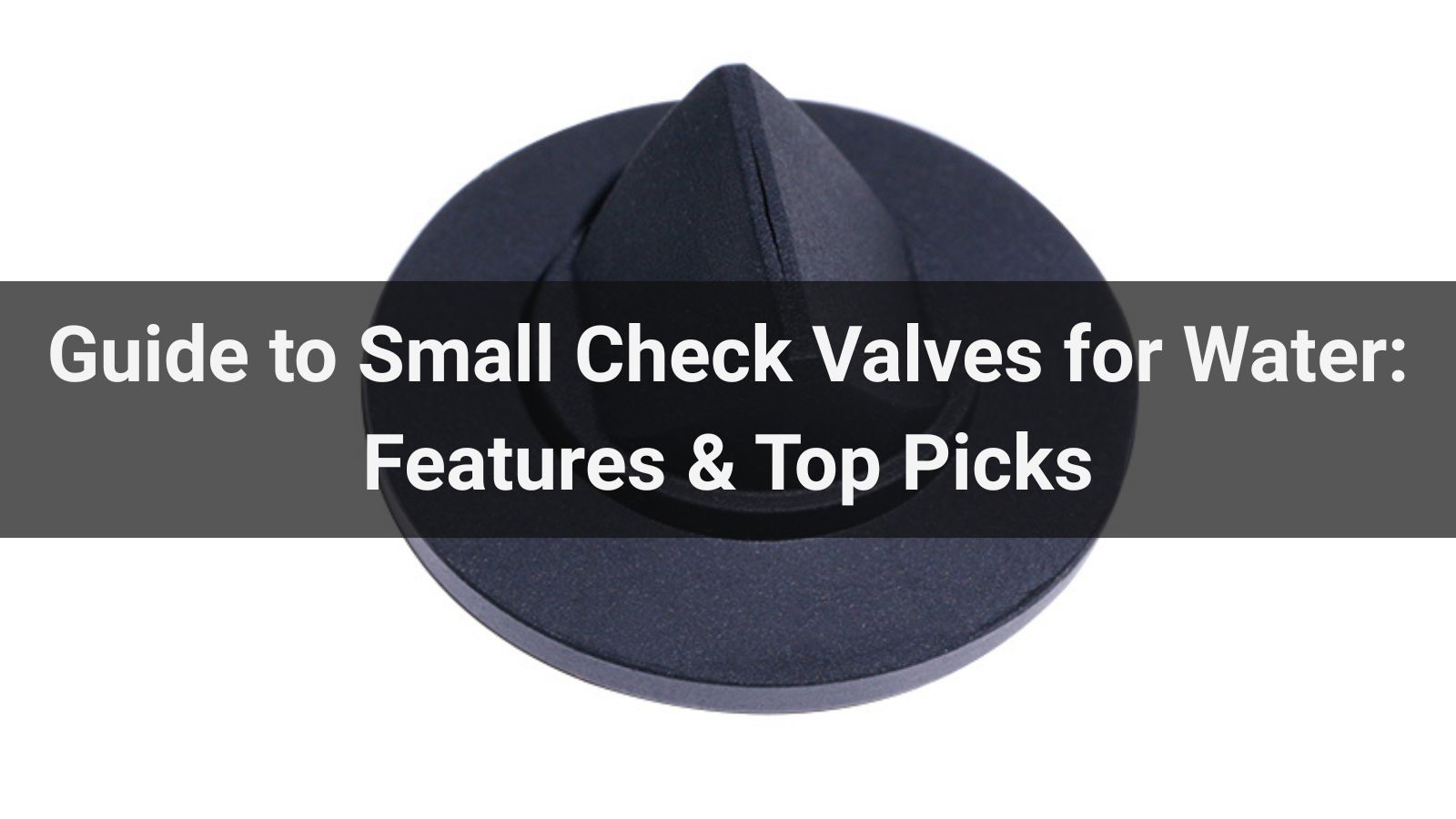 Guide to Small Check Valves for Water: Features & Top Picks