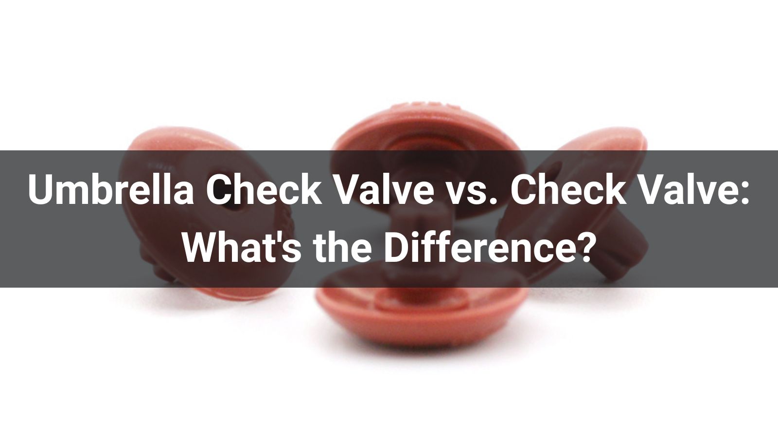Umbrella Check Valve vs. Check Valve - Valvekingdom